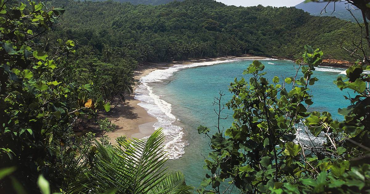 The 7 Best Beaches in Dominica for All Activities From Adventuring to ...