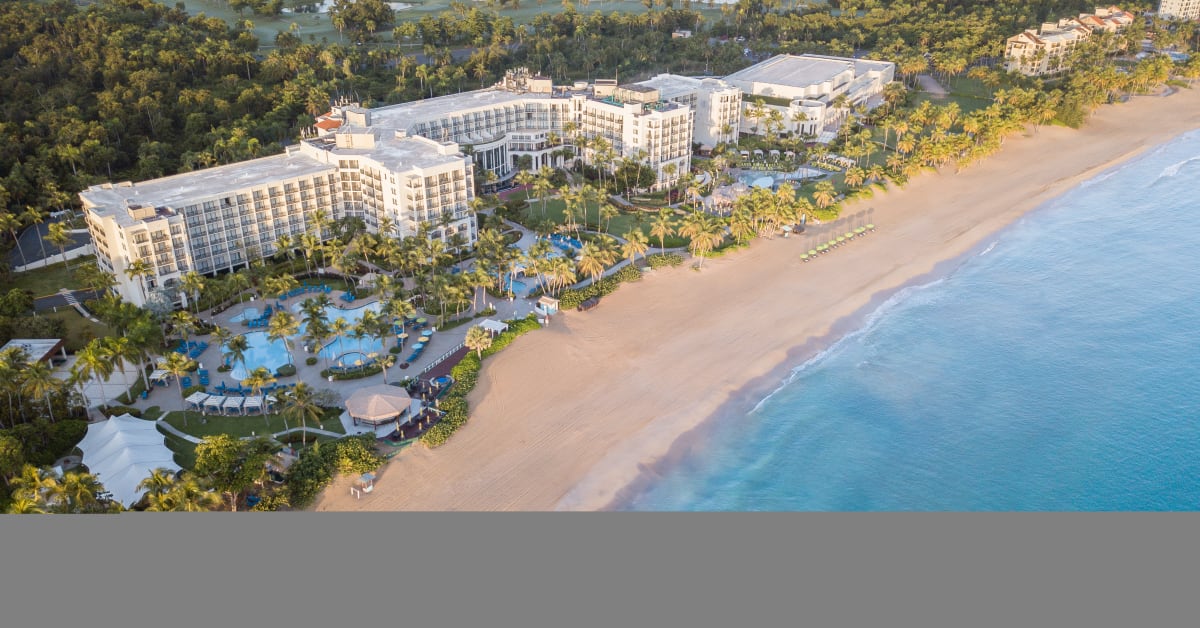 LionGrove CEO Shares Insider Perspective on Running Two Exceptional ...