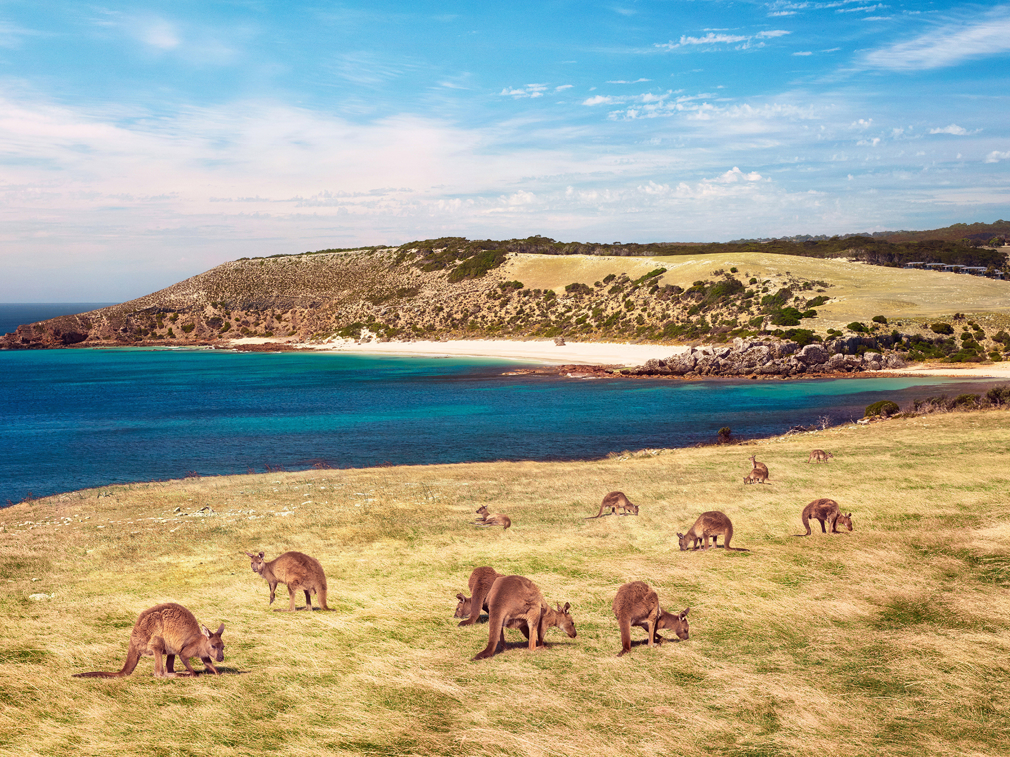 SI Swimsuit Destination: Kangaroo Island, South Australia - Swimsuit ... SI Swimsuit Destination: Kangaroo Island, South Australia - Swimsuit ...
